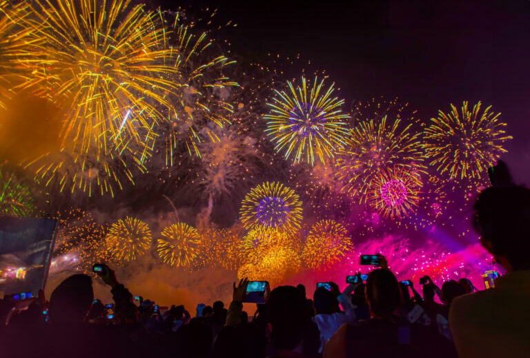 The Hidden Cost of Celebration: Fireworks and Wildlife - wildartbysam